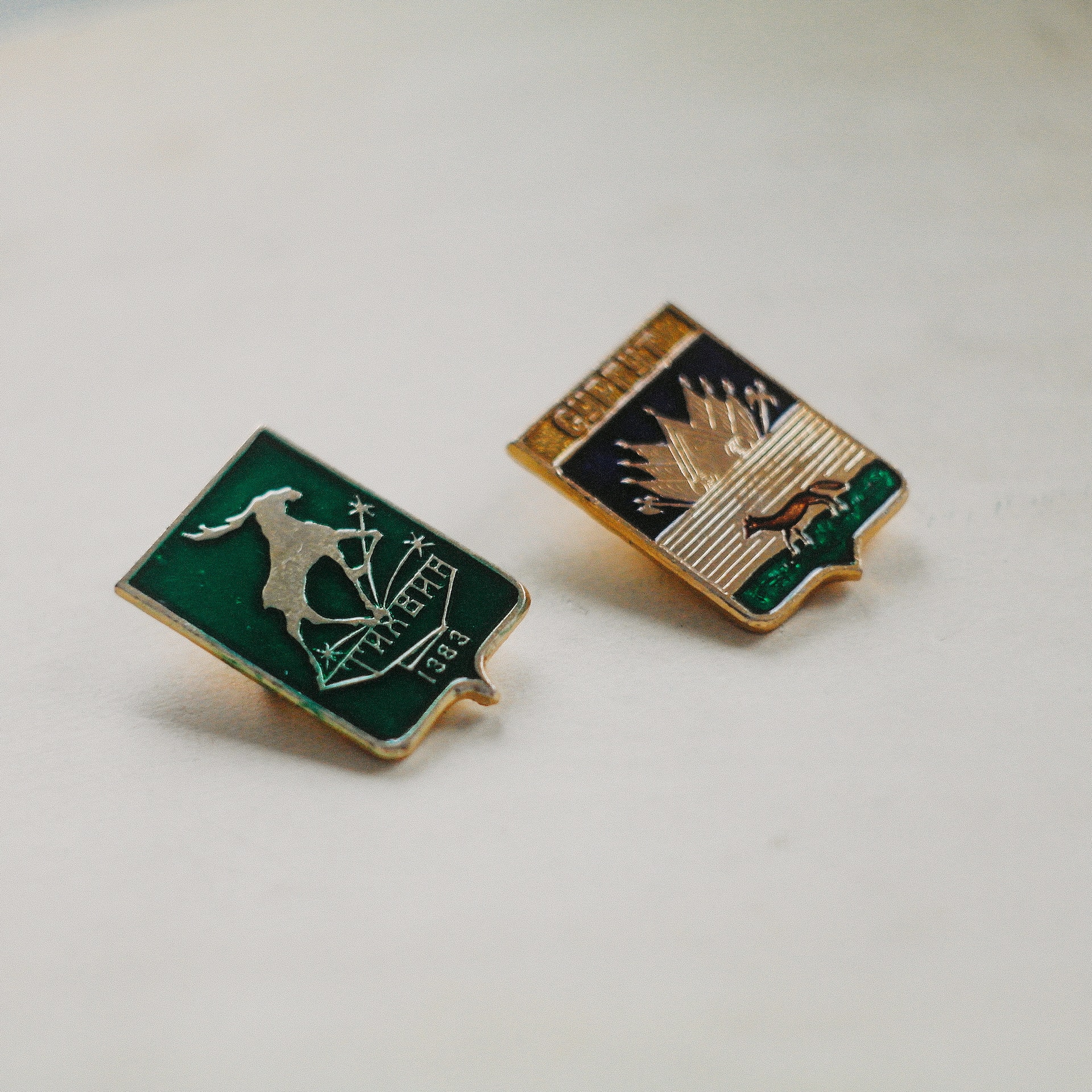 Custom Lapel Pins for Education: Creating Connection and Community in ...